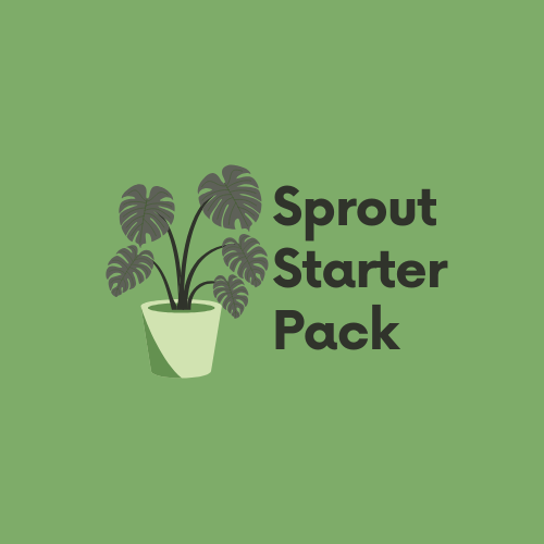 Sprout Starter Pack | The Split Leaf Co